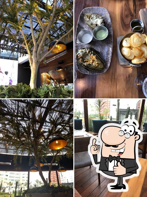 Mate restaurant, Mexico City, Av Santa Fe 482 - Restaurant reviews