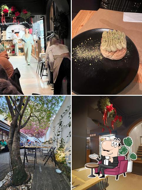 Nolio Restaurant, Kraków - Restaurant menu, prices and reviews