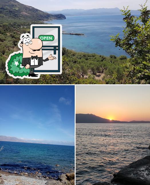 Ταβερνα Νεραντζια, Paralia - Restaurant reviews