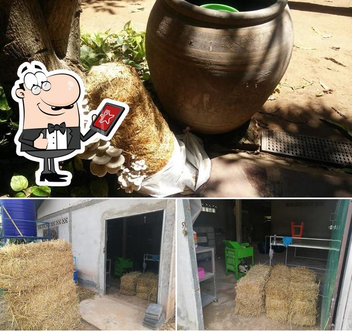 Sunday Farm Wang Sam Mo City, Wang Sam Mo - Restaurant reviews
