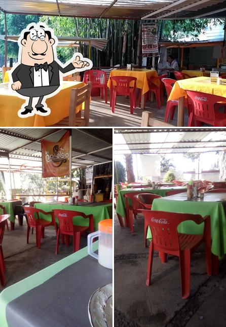 CAFETERIA LOS CAFFETOS, Cuernavaca - Restaurant reviews