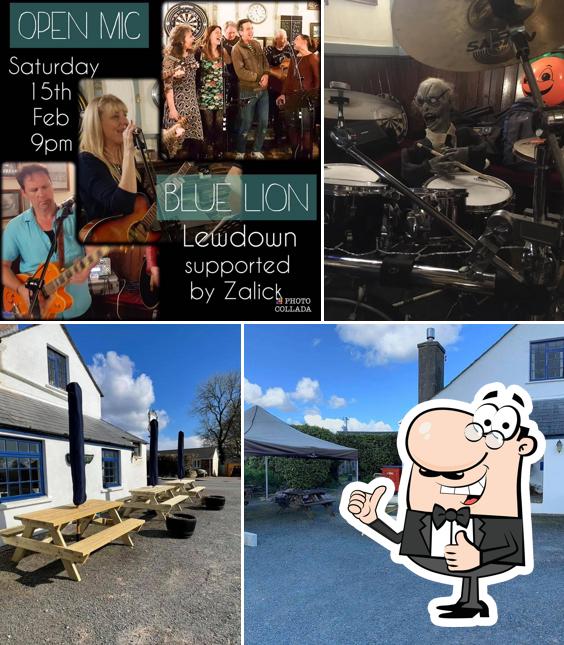 Blue Lion Inn in Lewdown - Restaurant reviews
