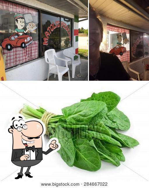 Matoli's Pizza & Subs, Hernando Beach - Restaurant menu, prices and reviews