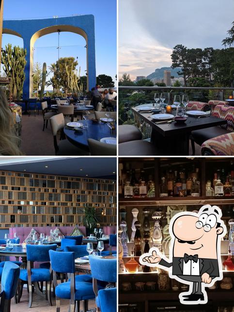COYA Monte-Carlo, Monaco-Ville - Restaurant menu, prices and reviews