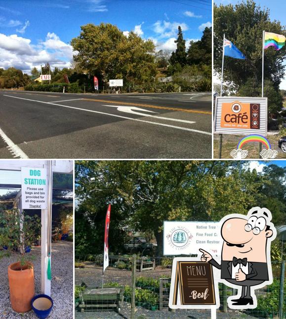 Native Tree Cafe in Mangatarata - Restaurant reviews