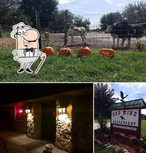 Red Wing Restaurant in Groveland - Restaurant reviews