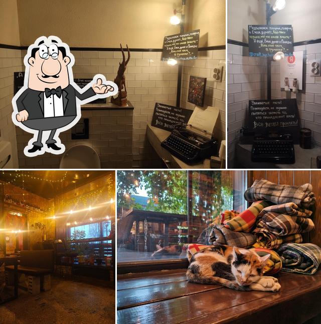 Hedgehog in the Fog pub & bar, Yelets - Restaurant menu and reviews