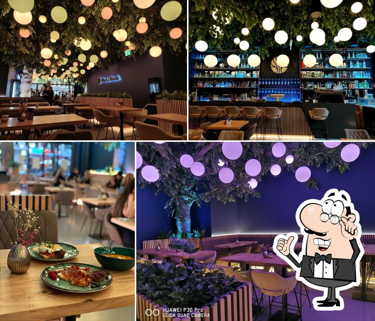 Bricco -The Club Restaurant-, Köln - Speisekarte, Preise und Bewertungen