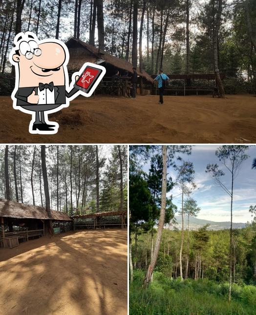 Pinus Kopi cafe, Bandung - Restaurant reviews