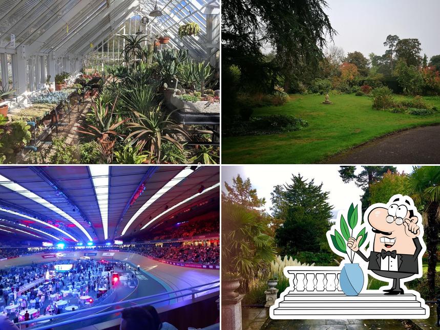 Myddelton House Gardens in Enfield - Restaurant reviews