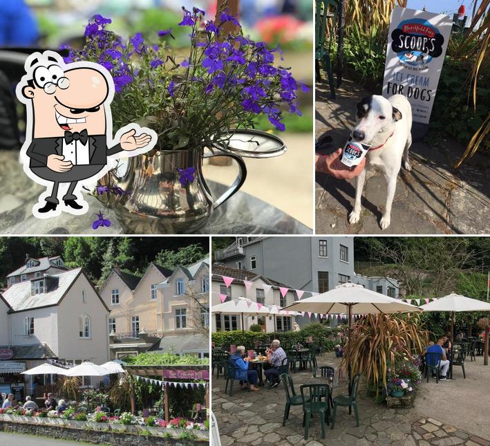 Top 5 restaurants in Lynton and Lynmouth, january 2026 - Restaurant Guru