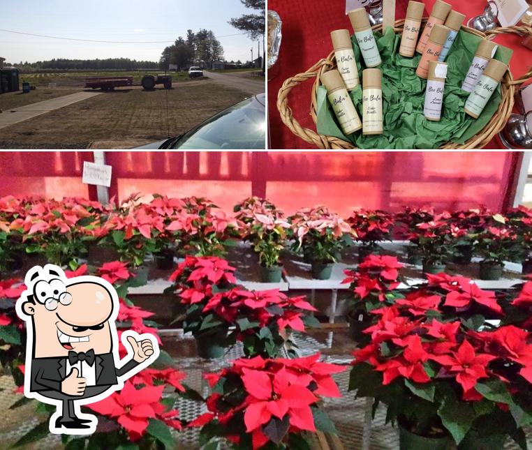 Lanni Orchards Inc. in Lunenburg - Restaurant reviews