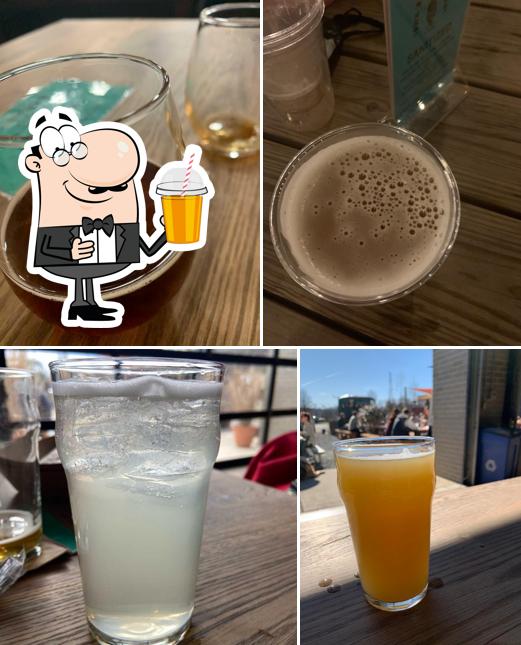 Town Brewing Company in Charlotte - Restaurant menu and reviews