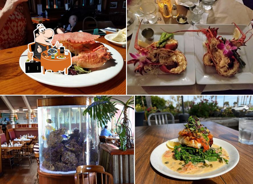 Santa Barbara FisHouse, Santa Barbara - Restaurant menu, prices and reviews