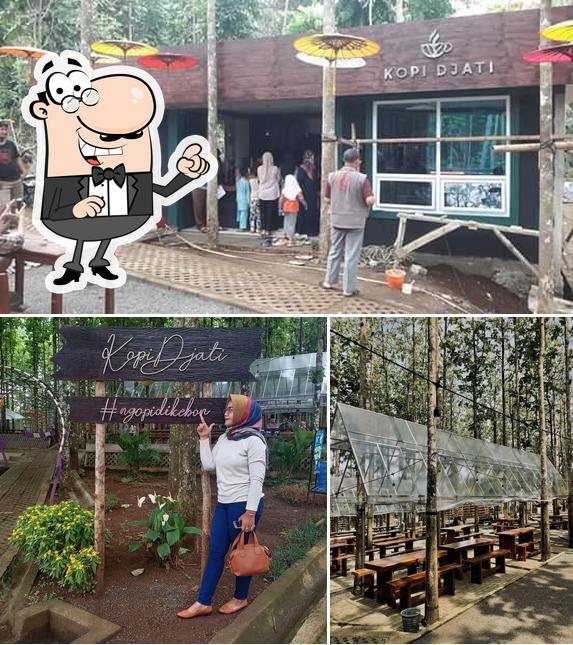 Kopi Djati cafe, Indonesia - Restaurant reviews