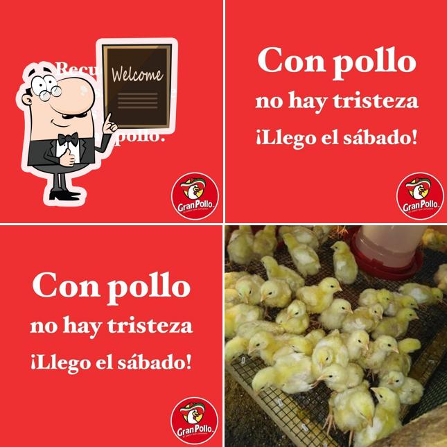 Gran Pollo restaurant, Loreto - Restaurant reviews
