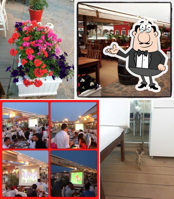 Alliance Restaurant - Restaurant menu, prices and reviews
