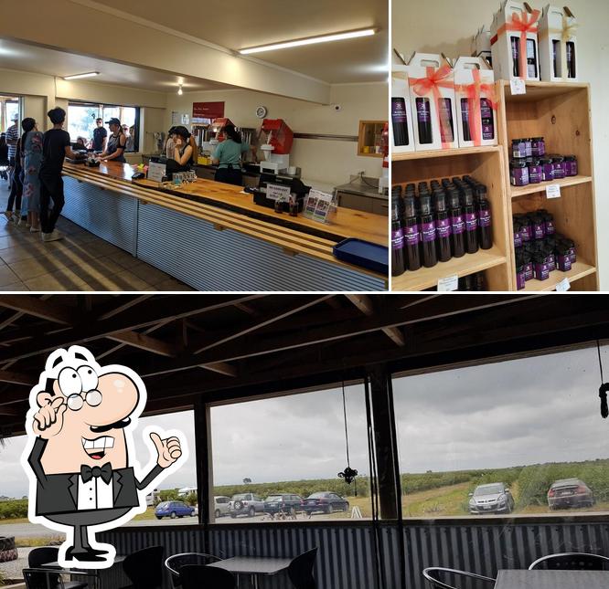 Blueberry Country in Ngatea - Restaurant reviews