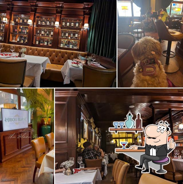 Hibou Blanc, Newcastle upon Tyne - Restaurant menu, prices and reviews
