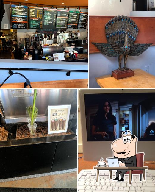 Quetzal Internet Cafe in San Francisco - Restaurant menu and reviews
