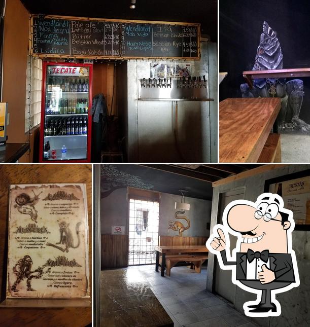 Fauna Tasting Room pub & bar, Tijuana - Restaurant reviews