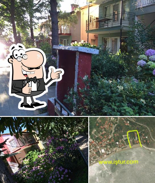 Lila Beach, West Marmara Region - Restaurant reviews
