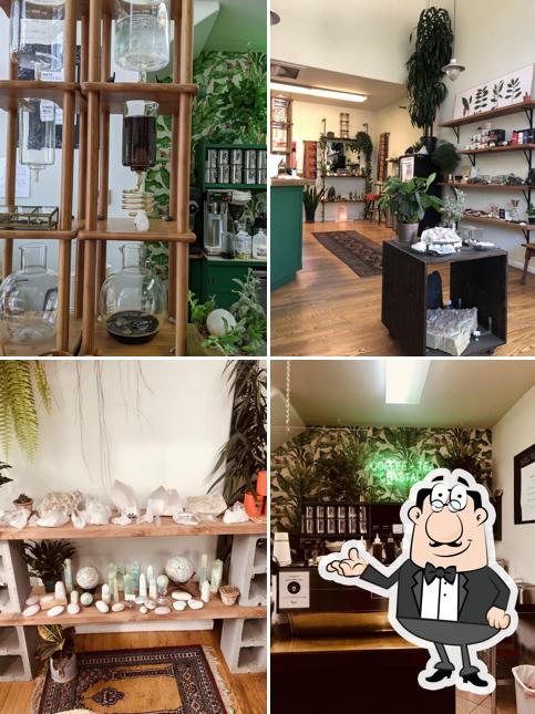 STEEP Organic Coffee and Tea, Hopland - Restaurant menu, prices and reviews
