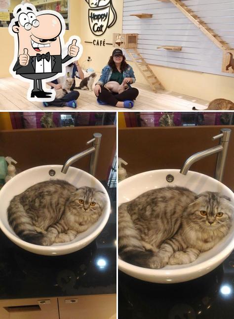 Happy Cat Cafe, Pasig, H4Q3+2MM - Restaurant reviews