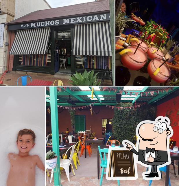 Muchos Mexican Maitland, Maitland - Restaurant menu, prices and reviews