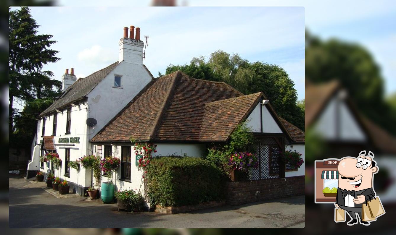 Half Moon & Spread Eagle, Winchester Road in Micheldever