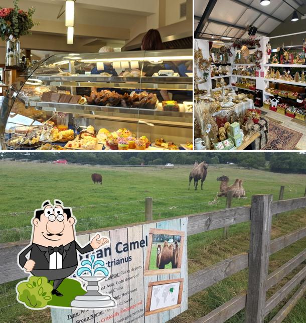Mainsgill Farm Shop - Restaurant menu, prices and reviews