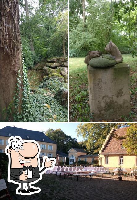 Kaffeehaus Schloss Bauschlott, Neulingen - Restaurantspeisekarten und ...