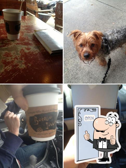 Bongo Java East in Nashville - Restaurant menu and reviews