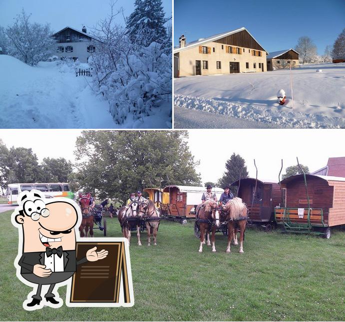 Auberge le sillet roulottes du sillet, Longcochon - Restaurant reviews