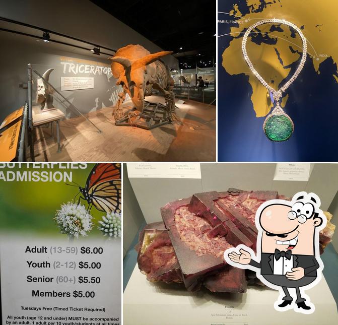 National Museum Of Natural History Cafe in Washington - Restaurant reviews