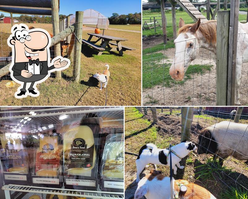 Parsons Farms Produce, Dagsboro - Restaurant menu, prices and reviews