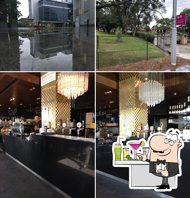 Cicada Bar Bistro, North Ryde - Restaurant menu, prices and reviews