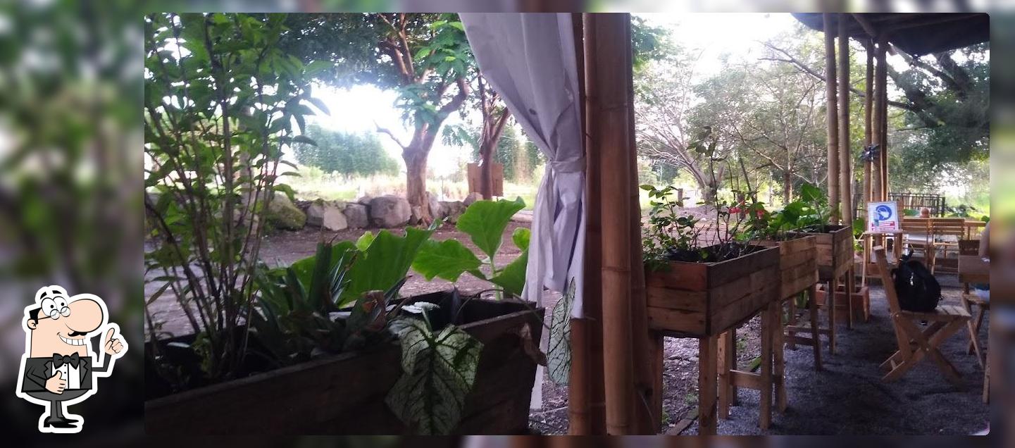 Los 5 mejores restaurantes en Cofradía de Suchitlán, octubre 2025 ...