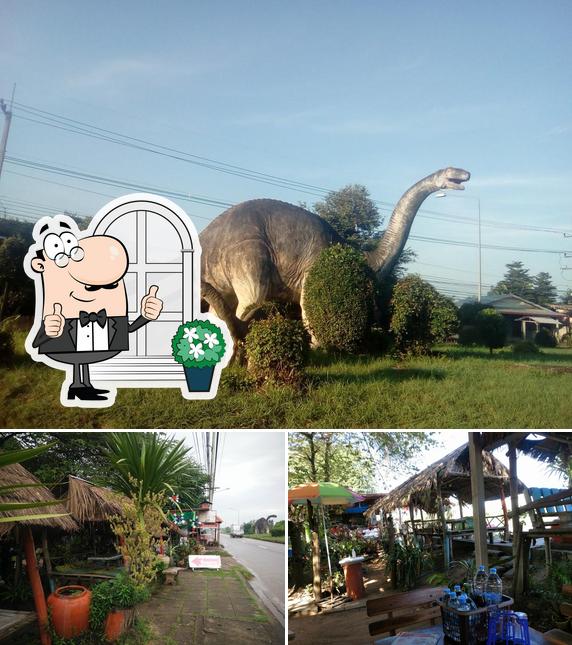 Dinosao Chicken Grill restaurant, Nong Ruea - Restaurant reviews