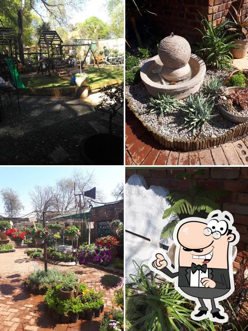 JaJa Tea Garden, Centurion - Restaurant reviews