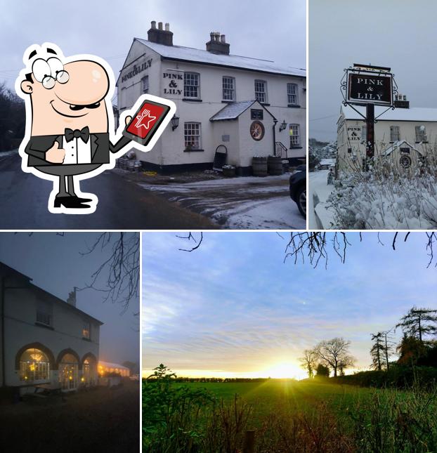 The Pink and Lily in Princes Risborough - Restaurant menu and reviews