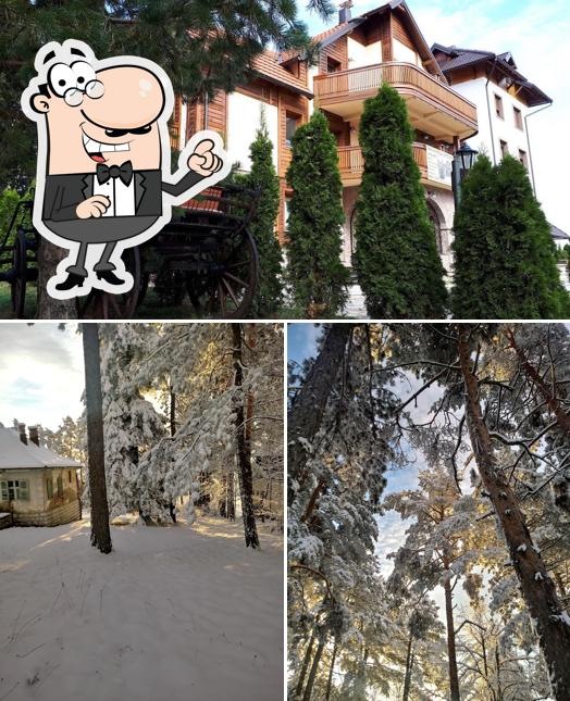 Kafe Pod Lipom i Roštilj, Zlatibor - Restaurant menu, prices and reviews