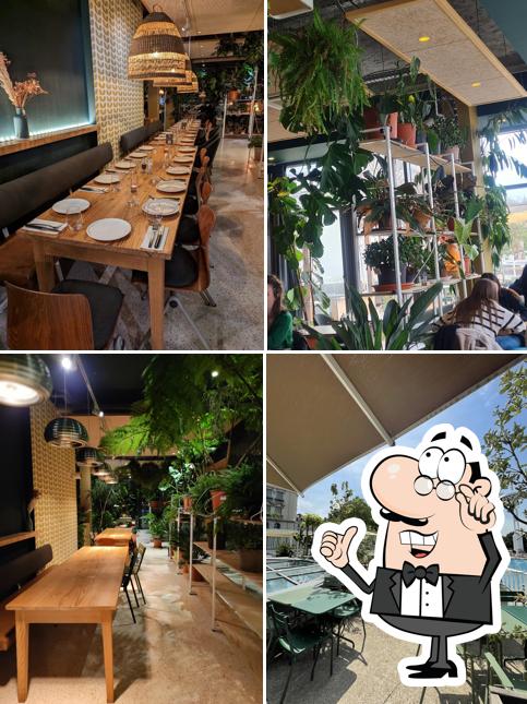 BOTANI Café, Lyon - Menu du restaurant, prix et avis
