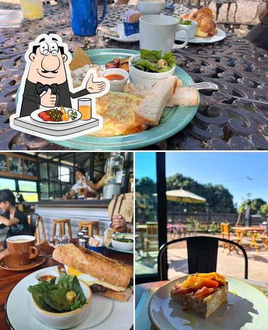 Proyecto Darwin, Bucerías - Menú del restaurante, precios y reseñas