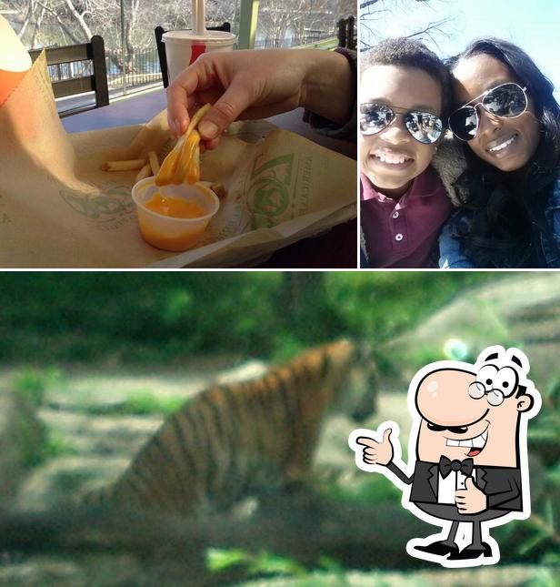 Tiger Terrace, Philadelphia - Restaurant menu, prices and reviews