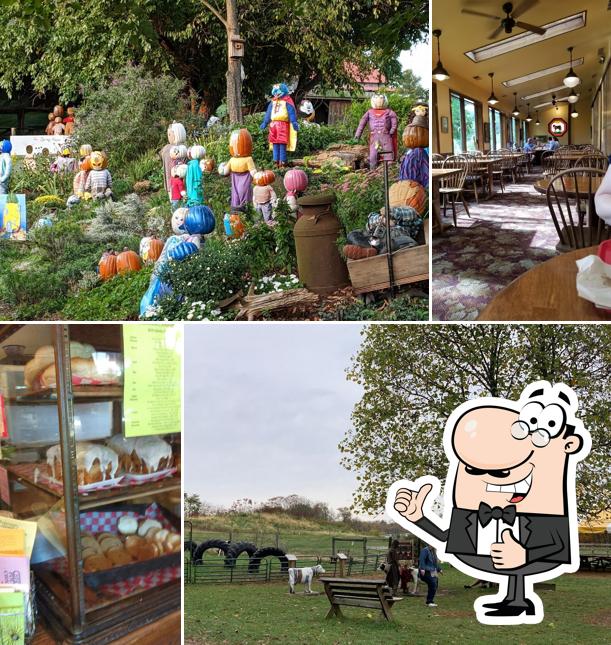 The SpringHouse Country Market and Restaurant, Eighty Four - Restaurant ...