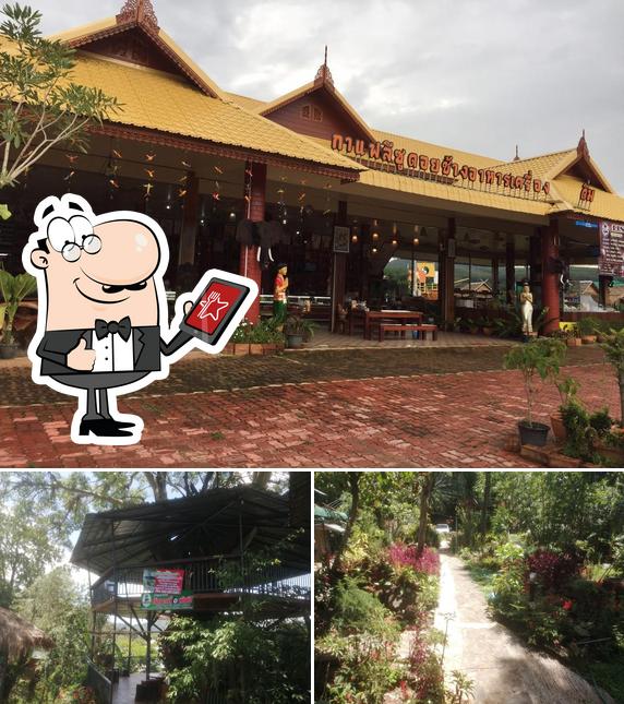Doi Chaang Coffee Abena, Mae Suai