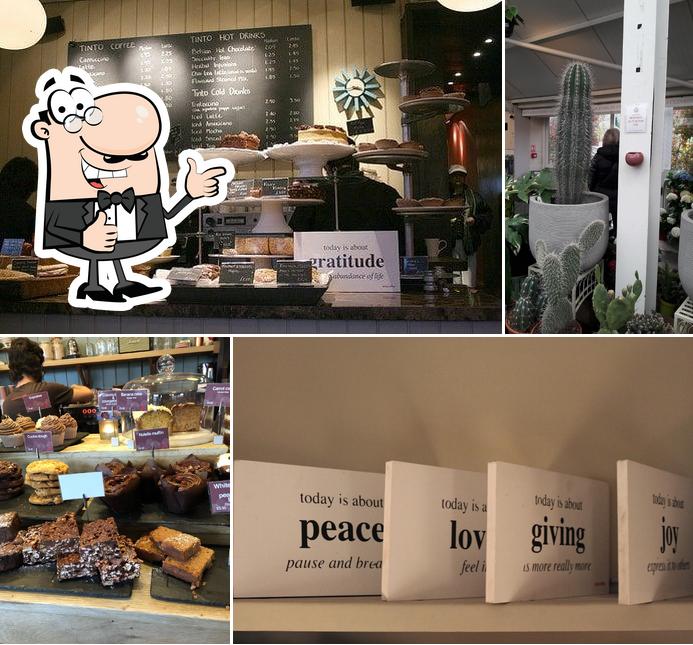Tinto Coffee, 411 Fulham Palace Rd in London - Restaurant menu and reviews