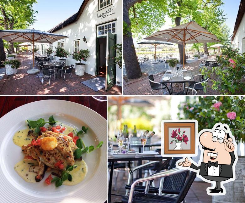 Harvest At Laborie, Cape Town - Restaurant menu, prices and reviews
