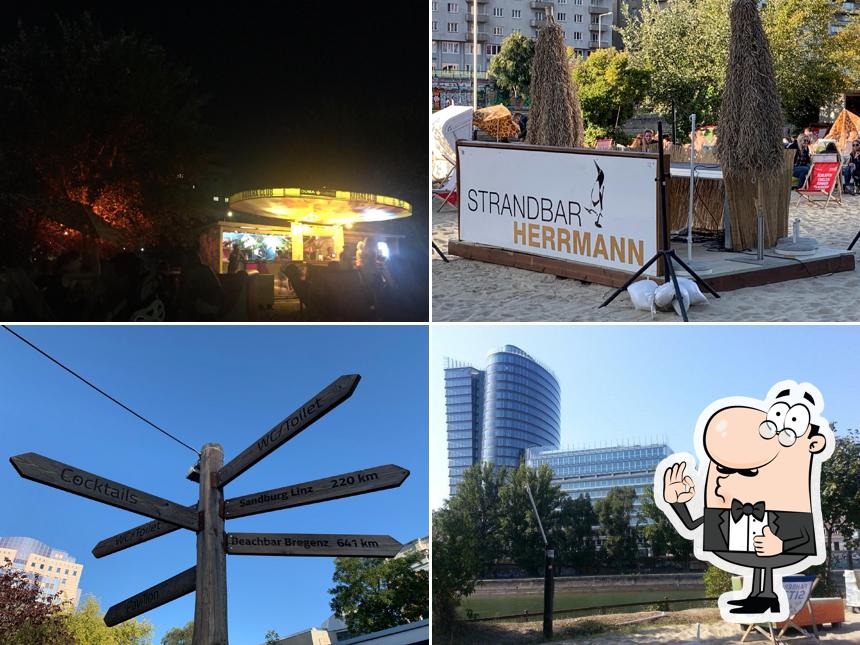 Strandbar Herrmann, Viena - Carta del restaurante y opiniones